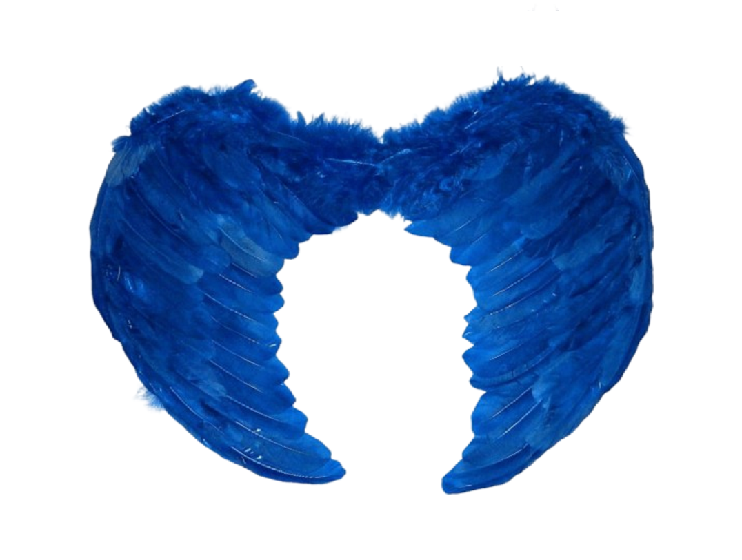 blue feather wings